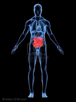 Transit intestinal et alimentation | Votresanteaunaturel.info